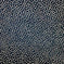 Galaxy – Johnson's Fabrics